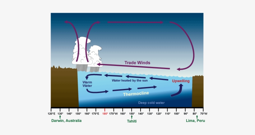 Normal Tropical Weather Pattern Across The Equator - Normal El Nino And ...