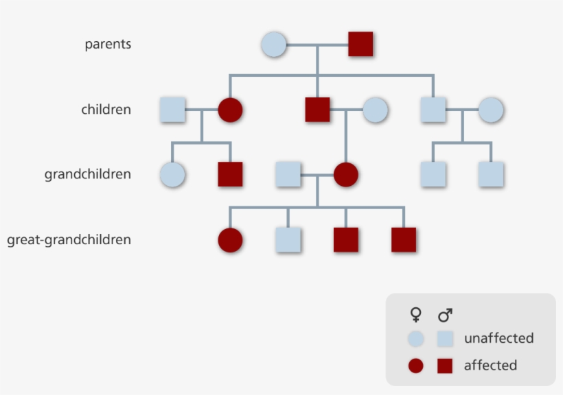 Pedigree Diagram Showing The Inheritance Pattern Of - Family Tree ...