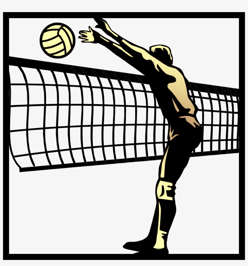 Volleyball Pic - Volleyball Spike Transparent PNG - 963x986 - Free ...