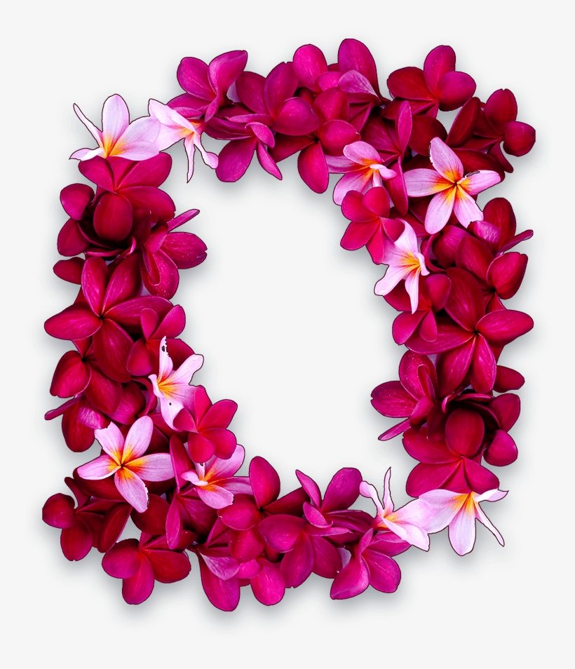 Flower Lei Png Clip Art Freeuse Download - Hawaii Transparent PNG ...