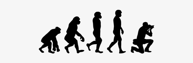 Human Evolution To Photographer Transparent PNG - 500x500 - Free ...