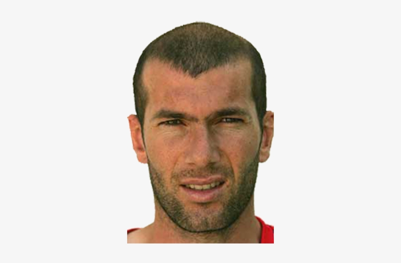 Imagen - Zinedine Zidane Beard Transparent PNG - 300x459 - Free ...