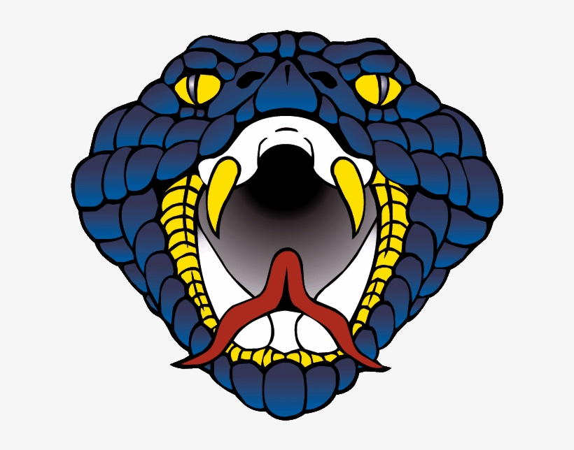 Columbus Cottonmouths Logo Transparent PNG - 621x564 - Free Download on ...