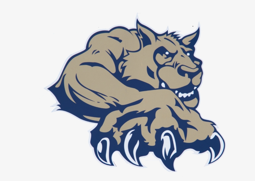 Wildcats Logo Png Transparent PNG - 1800x1200 - Free Download on NicePNG