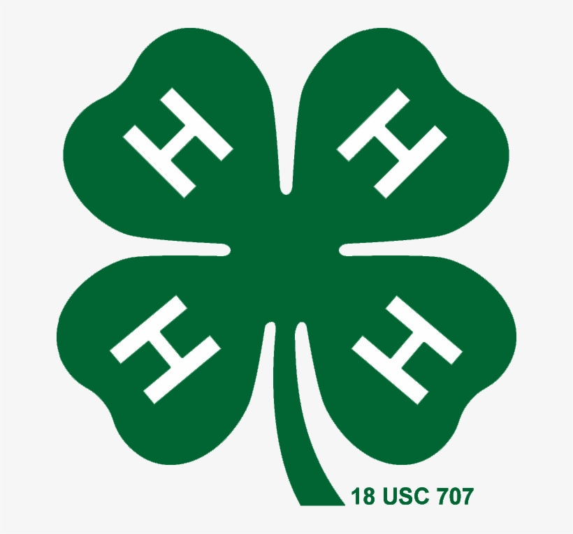 What's New - Transparent Background 4 H Clover Transparent PNG ...