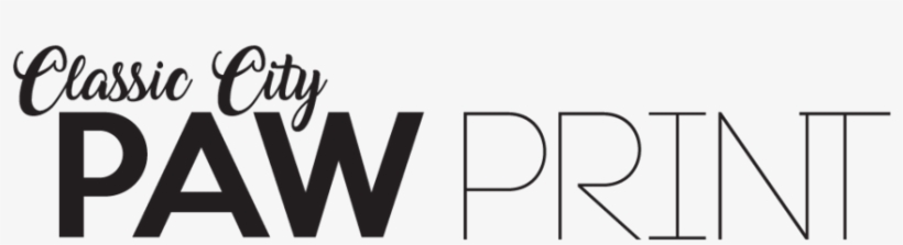 Realistic Scar Png Transparent PNG - 1000x799 - Free Download on NicePNG