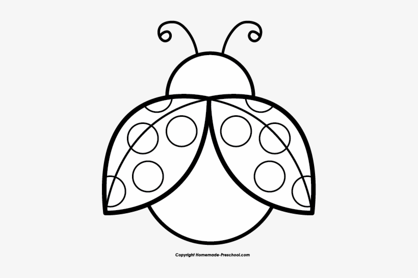 Lady Bug Clipart Black And White