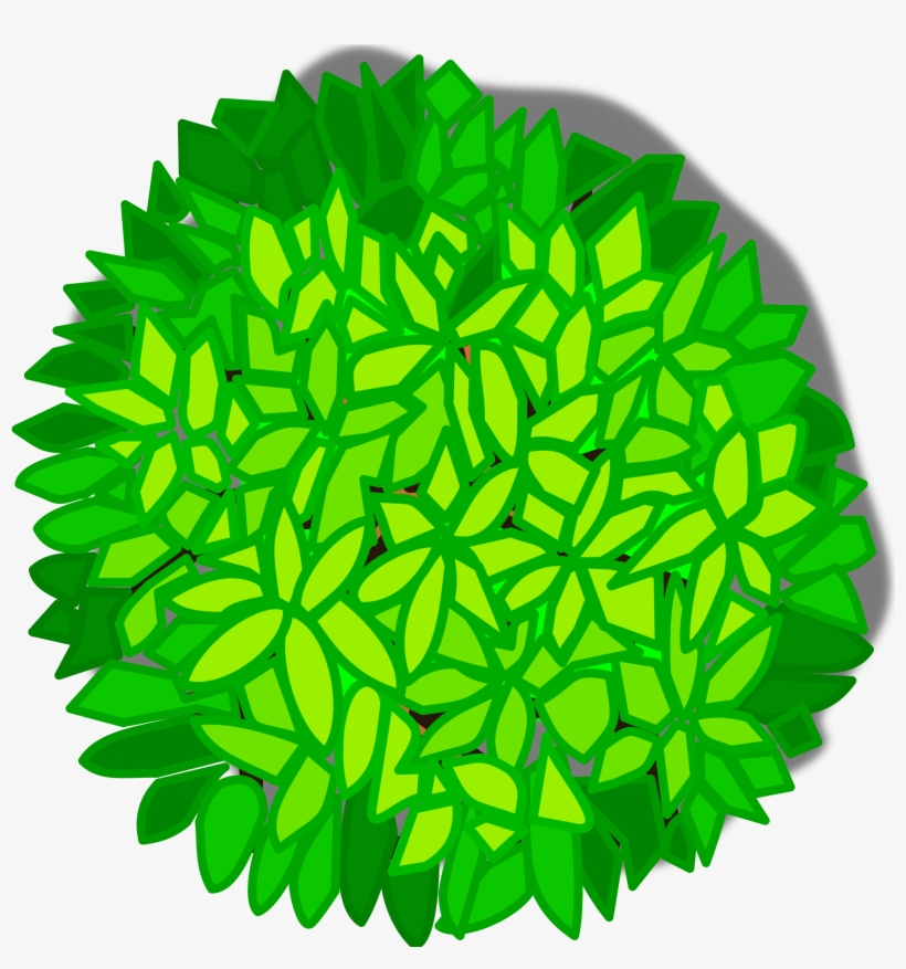 Download Tree Top View Clip Free Download - Tree Top View Clipart - HD ...