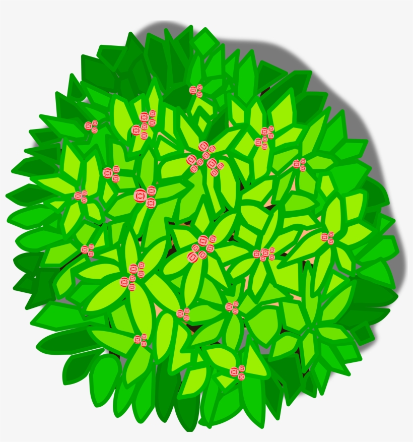 Big Image - Tree Top View Clipart Transparent PNG - 2400x2400 - Free ...