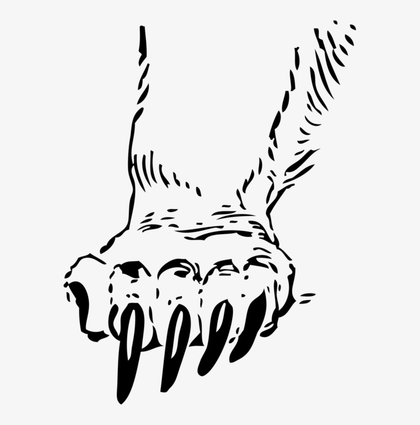 Claw Bear Tiger Paw Giant Panda - Cats Claws Clip Art Transparent PNG ...