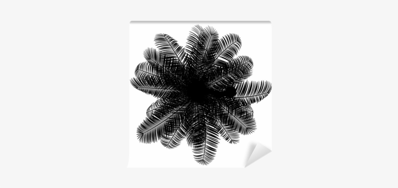 Tree Top View Silhouette