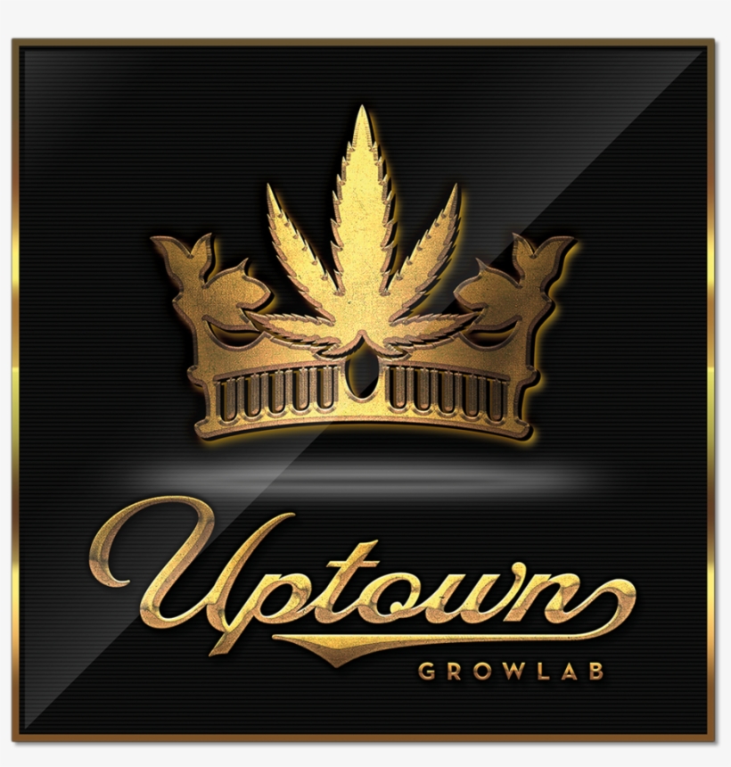 Gold Overlay Png Transparent PNG - 1000x1000 - Free Download on NicePNG