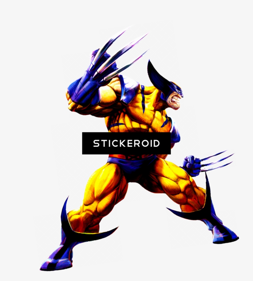 Wolverine - Marvel Vs Capcom Png Transparent PNG - 1002x1063 - Free ...