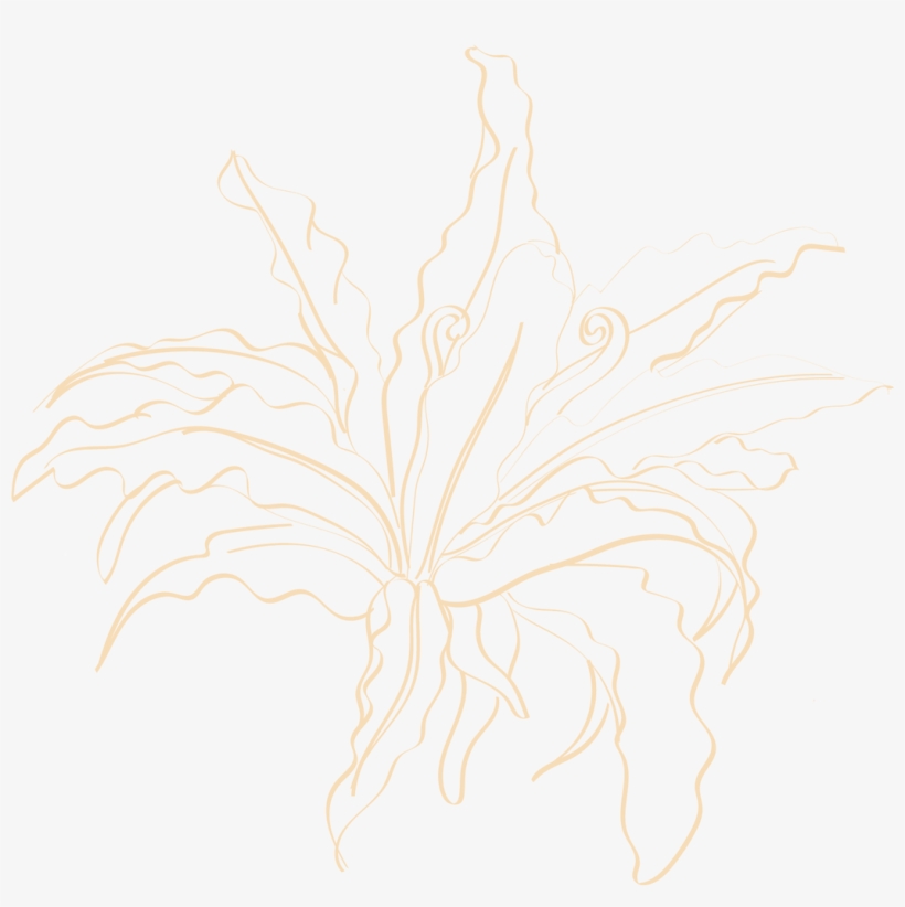 Small Figures Doing Tai Chi - Drawing Transparent PNG - 1046x998 - Free ...