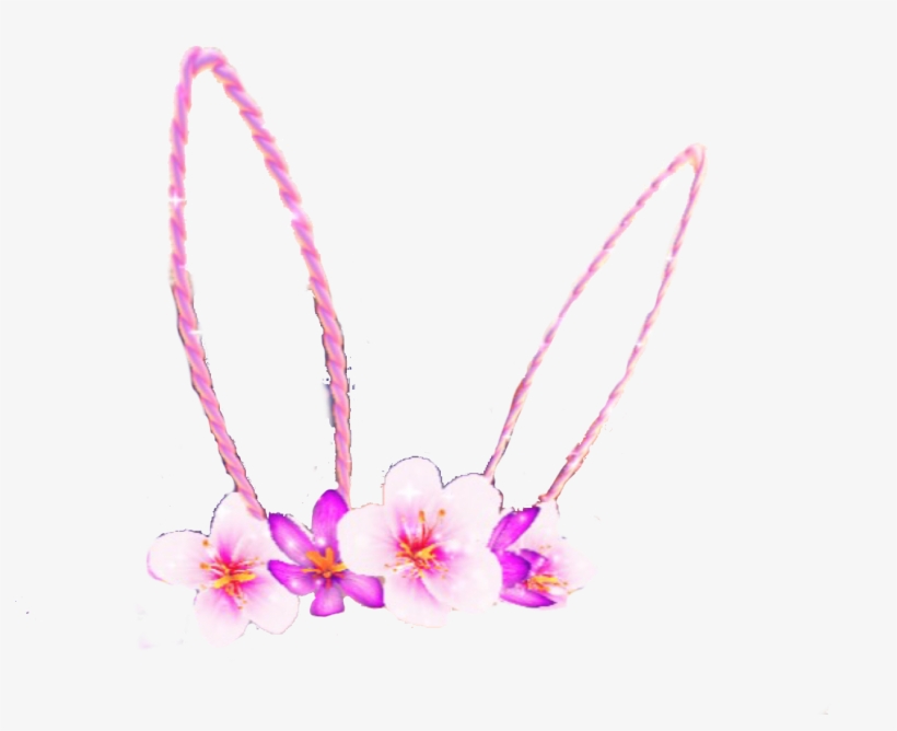 Bunnyrabbit Bunny Bunnyears Snapchat Snapchatfilter - Moth Orchid ...