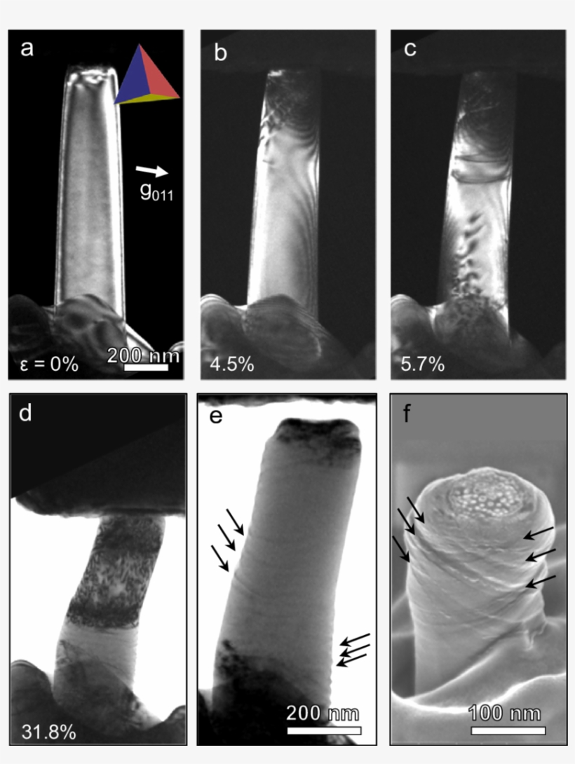 In Situ Tem Observation Of The Complete Plastic Deformation ...
