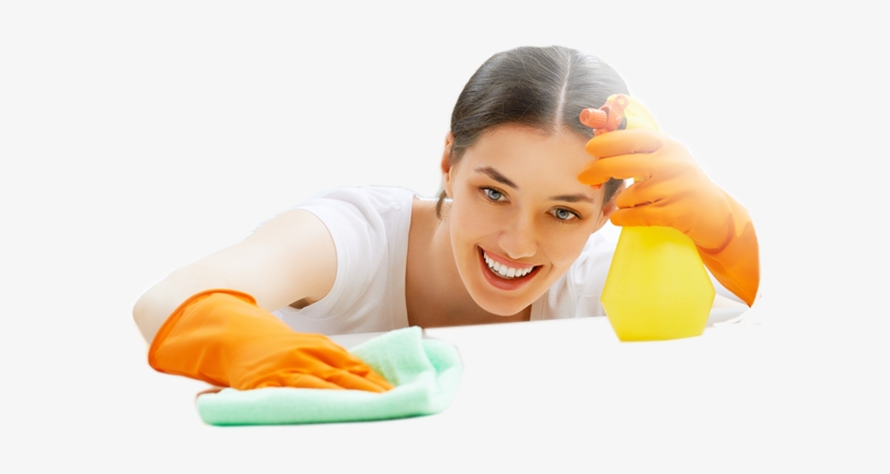 Cleaning Lady - Dusting - Lady Cleaning Png Transparent PNG - 592x393 ...