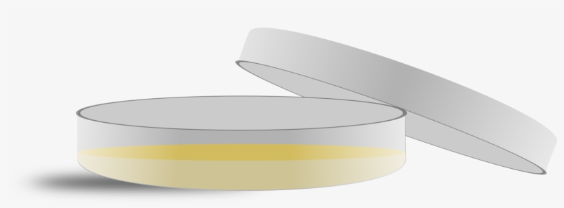 Picture Freeuse Stock Dishes Agar Plate Microbiology - Petri Dishes ...