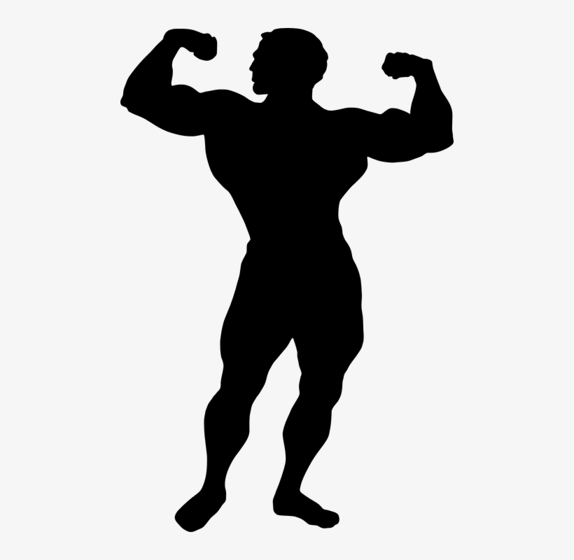 Free Muscle Clipart
