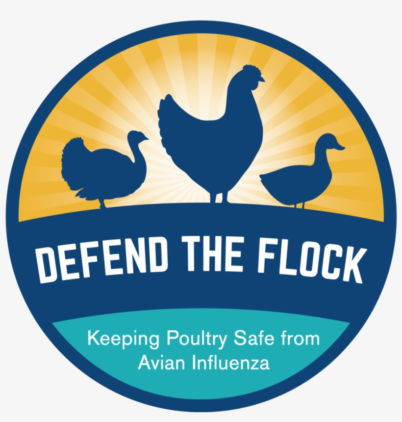 Defend The Flock Logo Generic - Scouting In Popular Culture Transparent ...