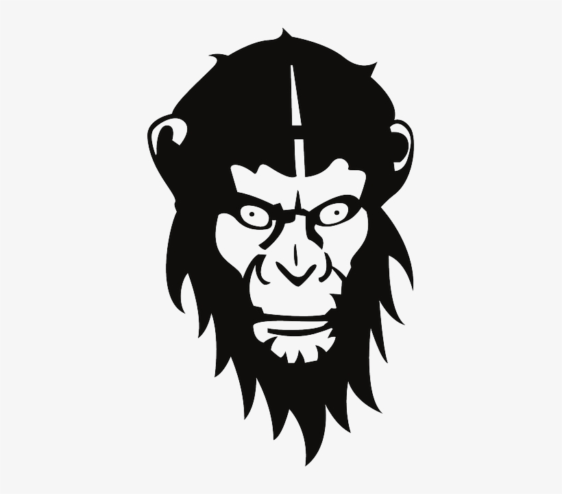 Evil Monkey Cartoon Face