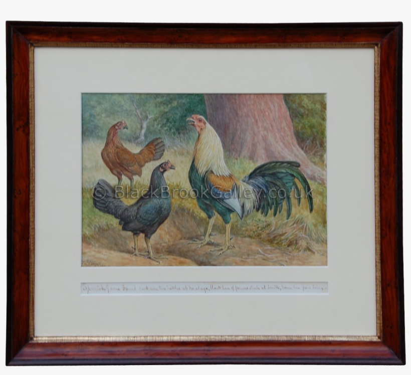 Game Fowl Trio - Herbert Atkinson Paintings Goat Transparent PNG ...