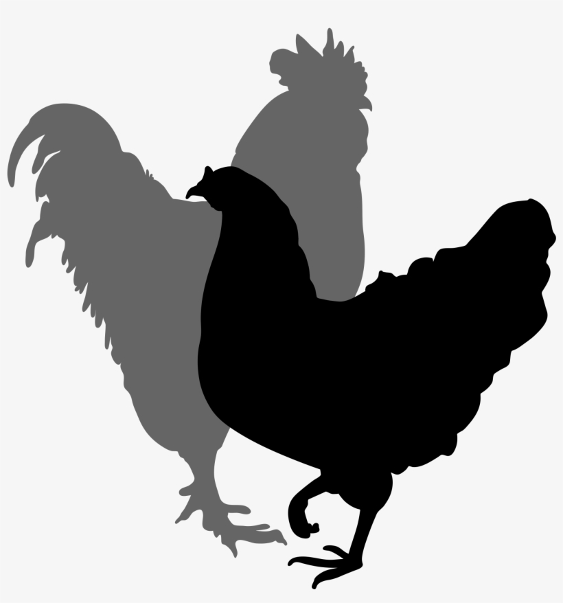 Filerooster And Hen Silhouette - Rooster And Hen Silhouette Transparent ...