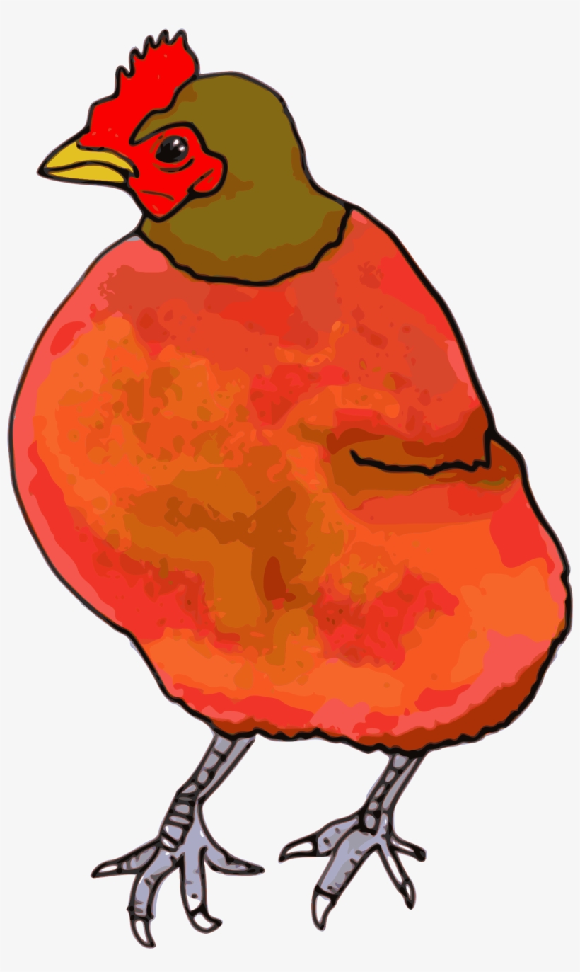 This Free Icons Png Design Of Red Hen Transparent PNG - 1448x2354 ...