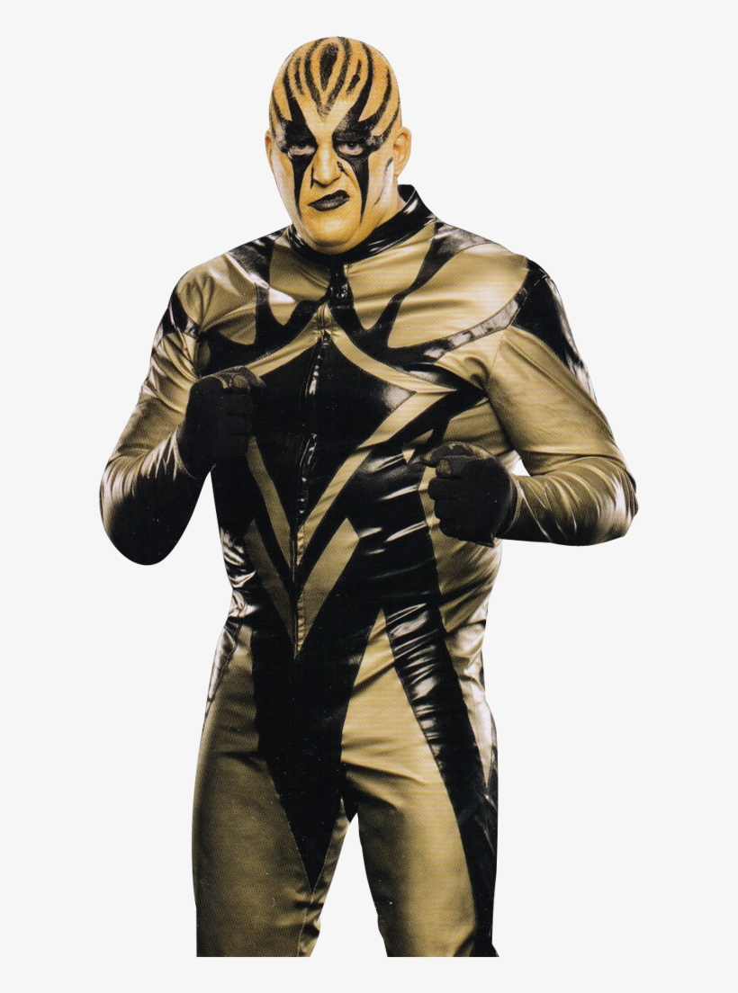 Goldust - Wwe Goldust Transparent PNG - 600x1024 - Free Download on NicePNG