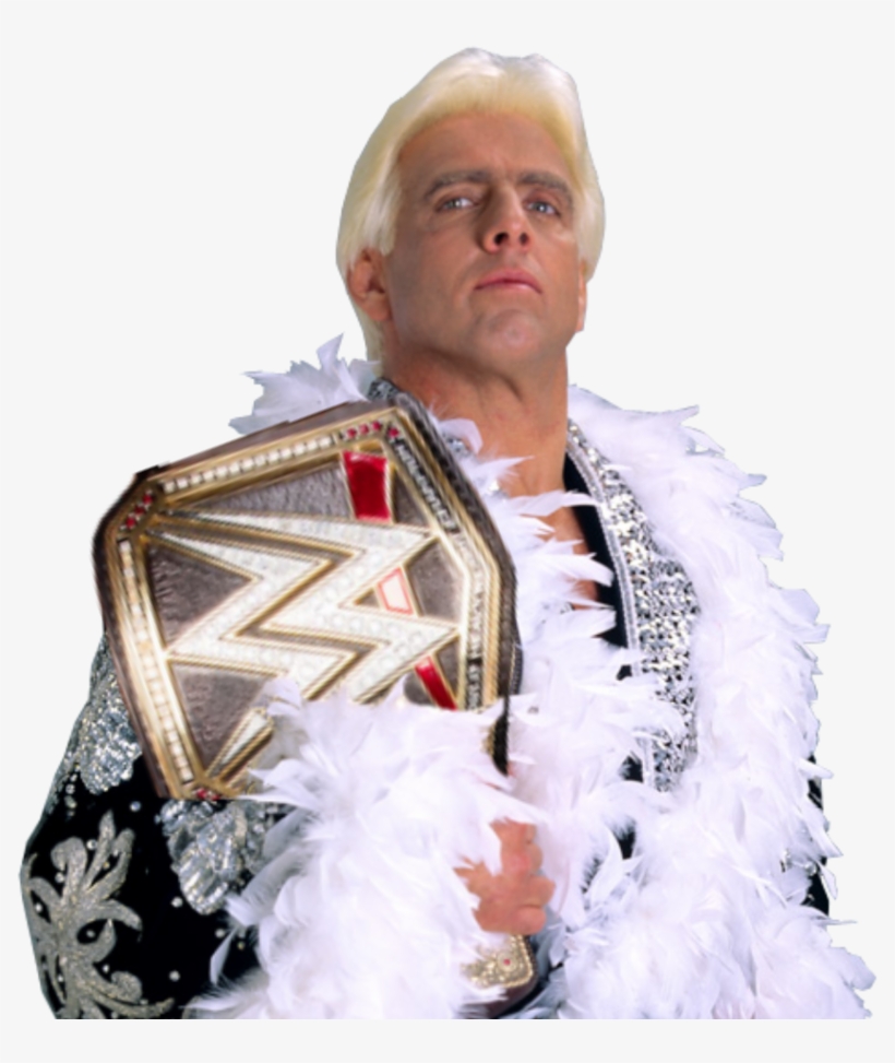 Ric Flair Png - Ric Flair Wwe Png Transparent PNG - 894x894 - Free ...