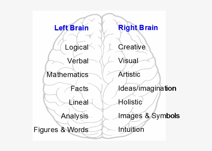 Left And Right Brain - Left And Right Brain Hemispheres Transparent PNG ...