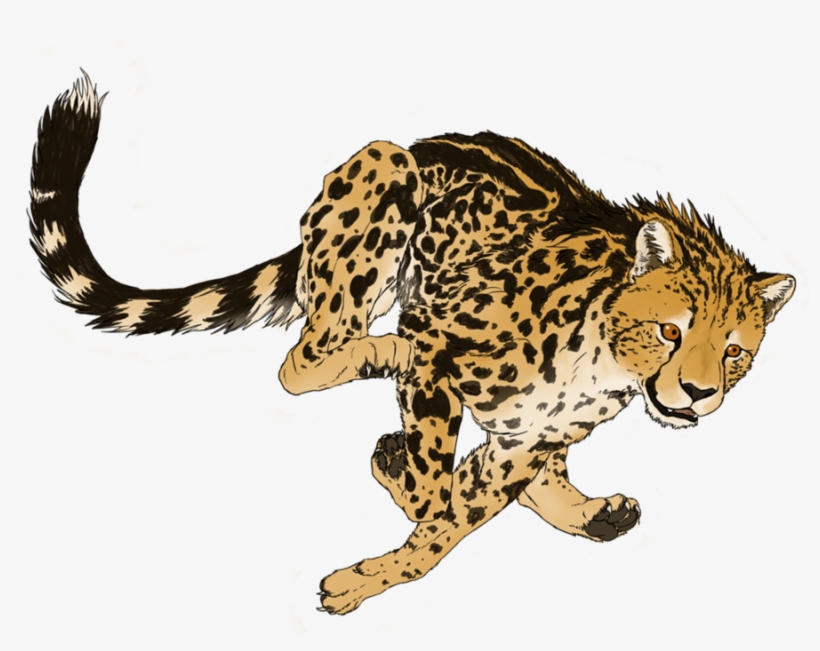 King Cheetah Wallpaper