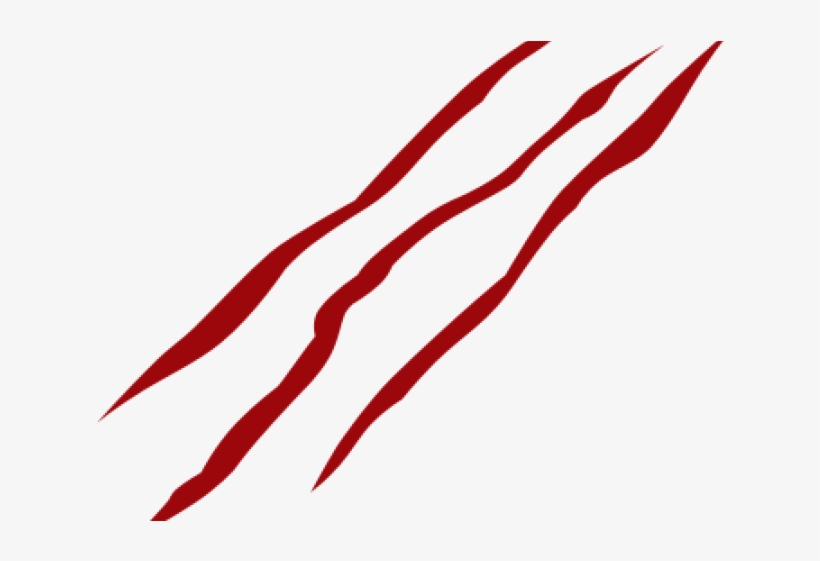 Lion Scratch Art Png Transparent PNG - 640x480 - Free Download on NicePNG