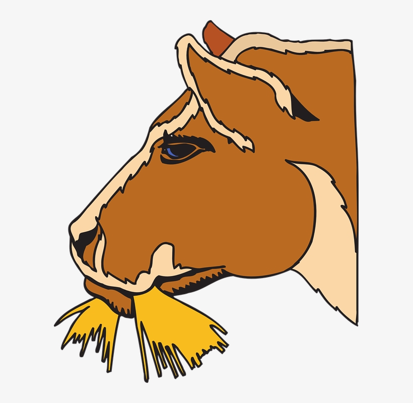 Cow Eating Hay Clipart - Horse Eating Hay Clip Art Transparent PNG ...