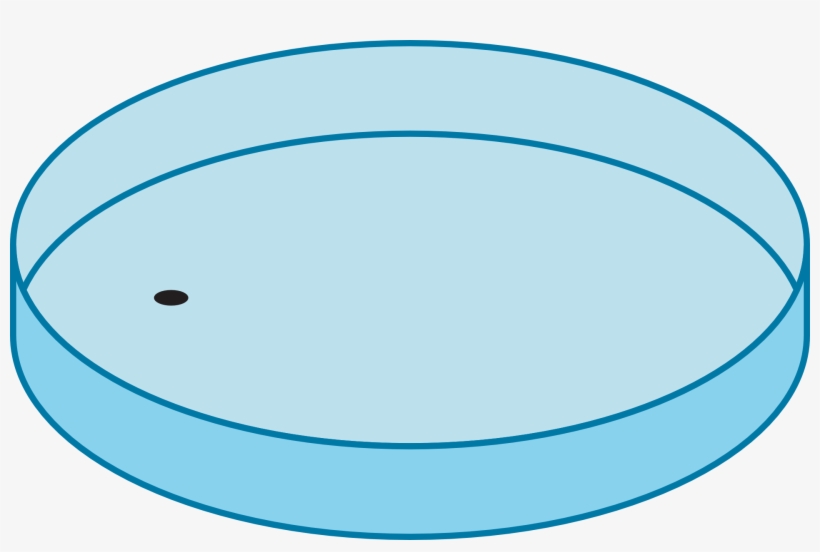 Petri Dish Bacteria Science Lab - Clip Art Transparent PNG - 1920x1201 ...