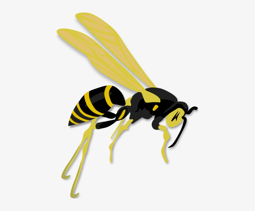 Clip Art Wasp Transparent PNG - 456x597 - Free Download on NicePNG