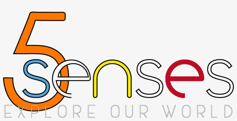 5-senses Logo - 5 Senses Malta Transparent PNG - 912x424 - Free ...
