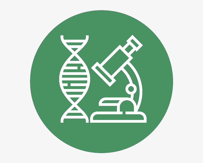 Cancer Research Domain - Building Circular Icon Transparent PNG ...
