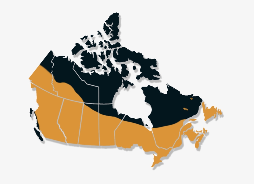 Black-capped Chickadee Range Map - Map Of Canada Icon Transparent PNG ...