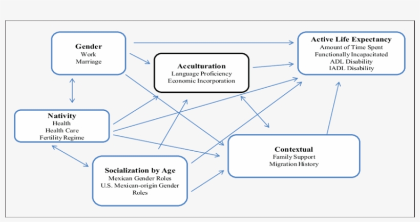A Conceptual Model Of Healthy Aging For Older Hispanics - Diagram ...