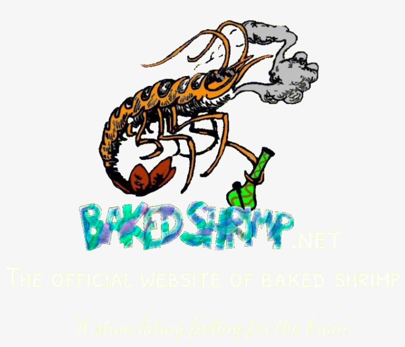 User Account Transparent PNG - 896x760 - Free Download on NicePNG