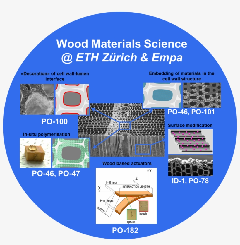 Building Materials Science Transparent PNG - 1027x999 - Free Download ...