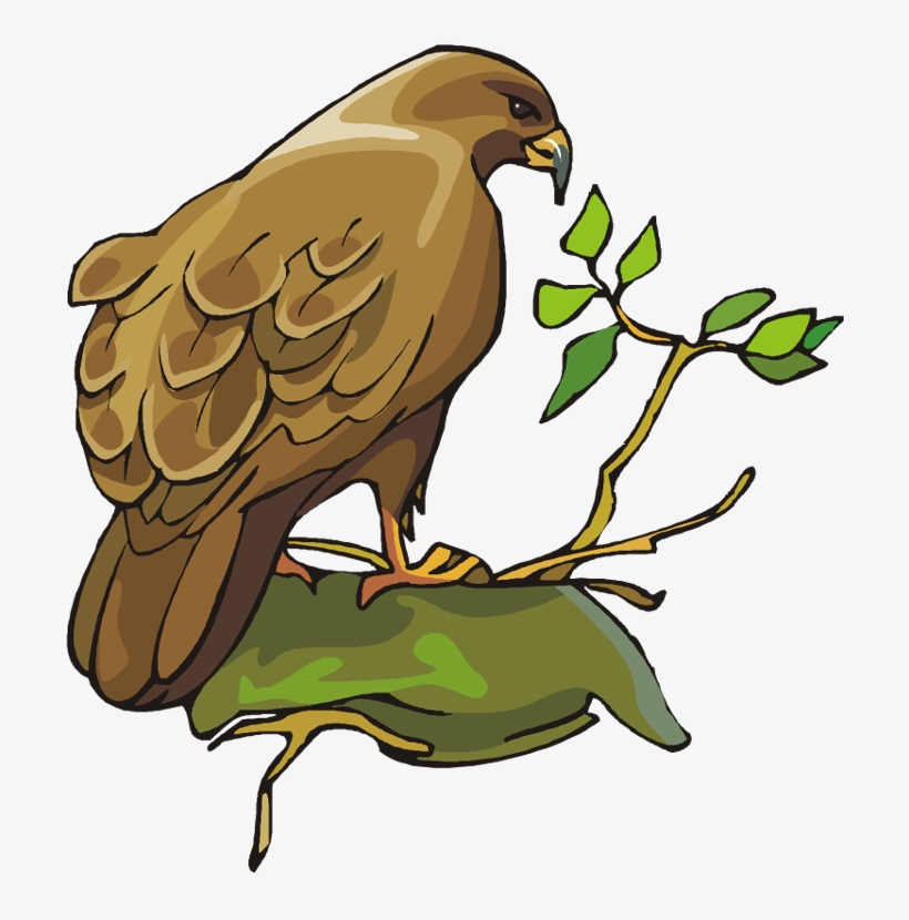 Vector Royalty Free Library - Bird Of Prey Clip Art Transparent PNG ...