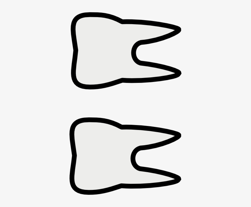 Two Front Teeth Clipart Transparent PNG - 366x597 - Free Download on ...