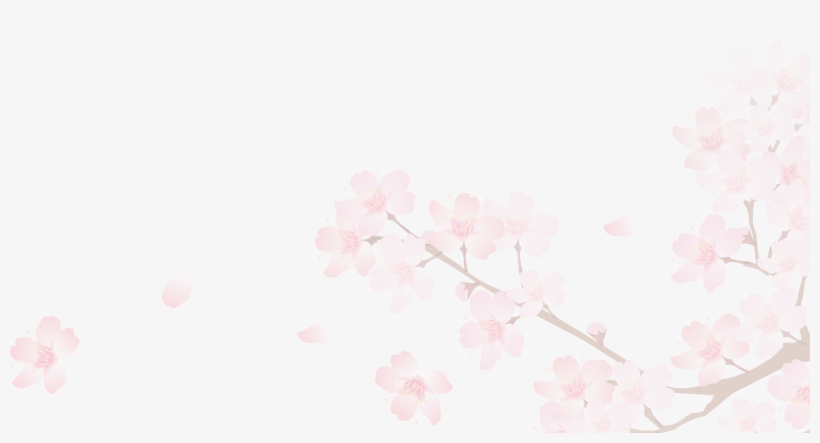 Sakura Png Transparent Transparent PNG - 3545x1773 - Free Download on ...
