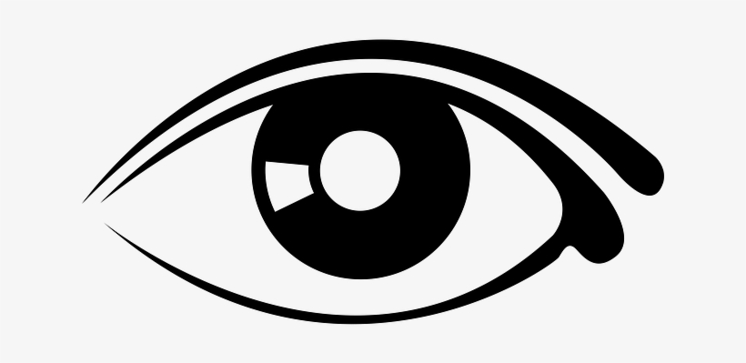Green Eye Icon Png Download - Sensory Systems Transparent PNG - 640x480 ...