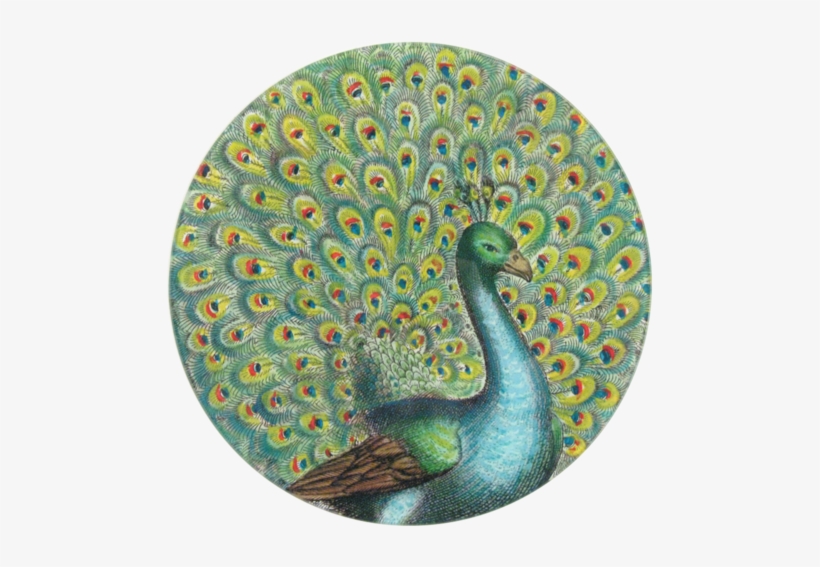 Peacock Portrait Peacock Portrait - Peacock Round Transparent PNG ...