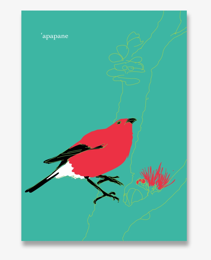 Apapane Notecard - ʻapapane Transparent PNG - 1000x1000 - Free Download ...