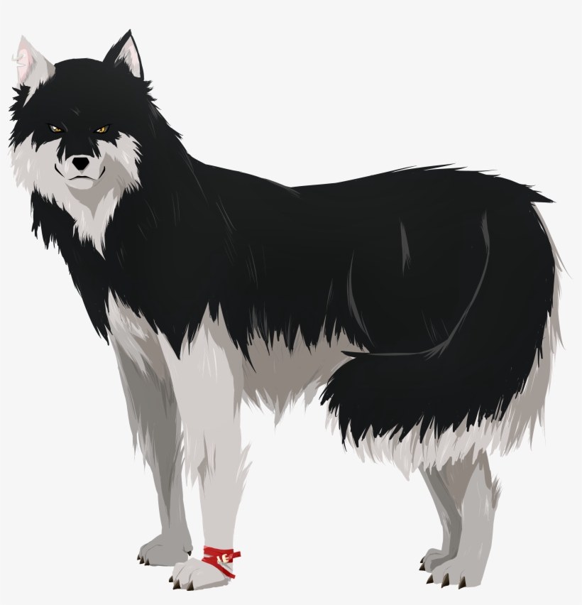 Drawing Wolves Husky - Wolf Transparent PNG - 3699x3641 - Free Download ...