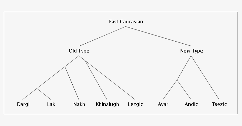 Northeast Caucasian Family Tree - Tsez Language Family Tree Transparent ...